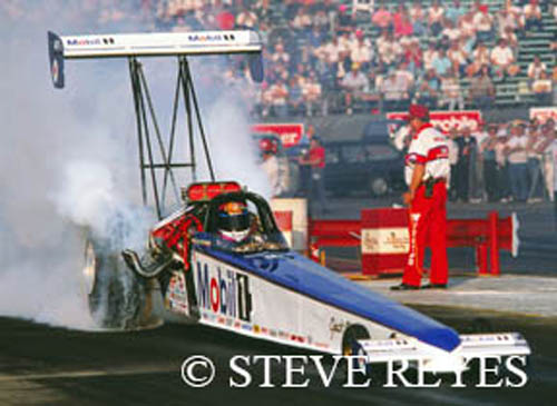 Farewell to the Mongoose Part III